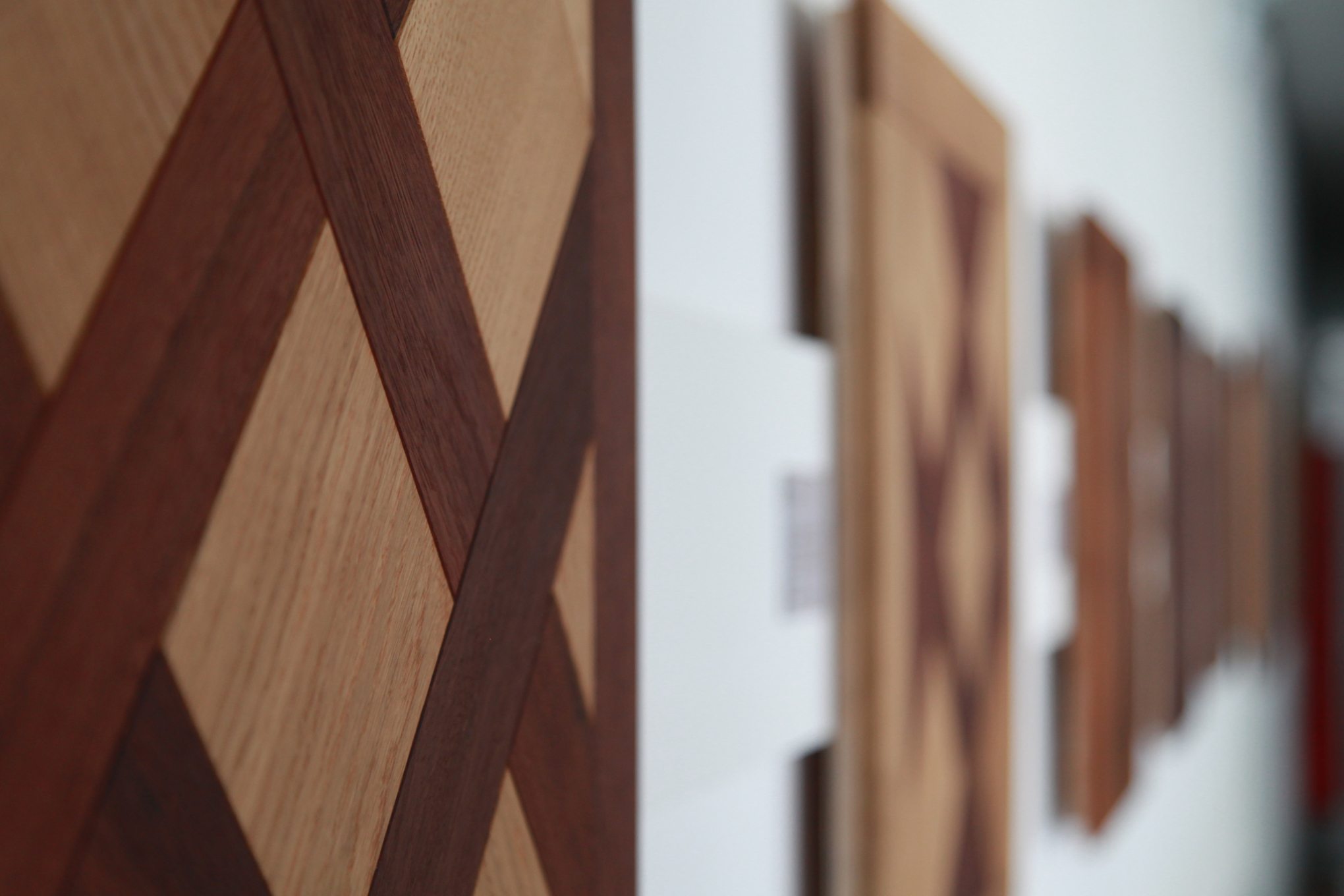 Ecquality Showroom • JungleFish Shanghai